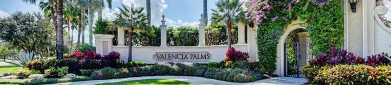 Valencia Palms | The Pap Corps